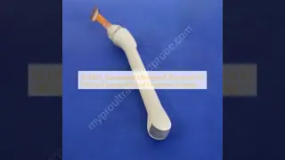 Transvaginal Ultrasound Probe Ob Gyn Urology