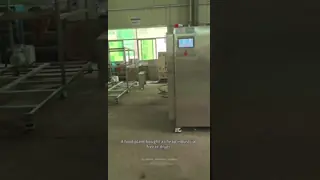 100kg Industrial Freeze Dryer Food Production