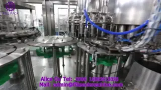 2226 J1 Hot-Fill 3-in-1 18-18-6 Rinse-Fill-Seal Machine