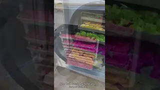 Home Freeze Dryer Preserve Food Good