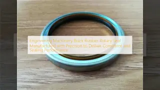 Black Rubber Oil Seal Precision Performance