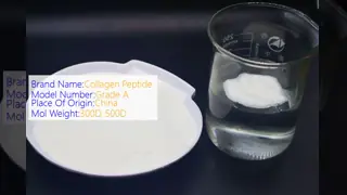 90 Percent Pure Collagen Peptide Food Grade