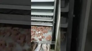 Large Capacity 100kg Industrial Freeze Drying Machine for Food