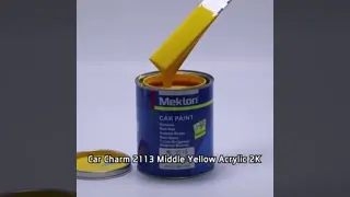 2K Acrylic Car Paint Repair Pro Finish