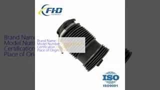 Porsche Macan Rear Right Air Spring Replacement