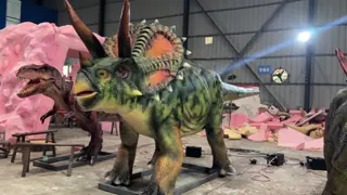 Animatronic Triceratops Dinosaur Model