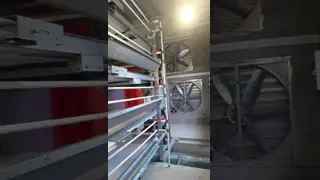 Wholesale Cascaded Pullet Cage | Automatic Egg Collection Layer Cage | Automated Poultry Equipment
