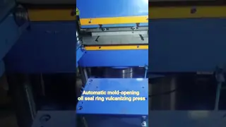 CE Rubber Vulcanizing Press for rubber oil seal ring making