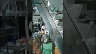 Washing Powder Packaging Line