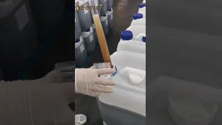 Pure Lychee Honey Natural Sweetness From Southern China