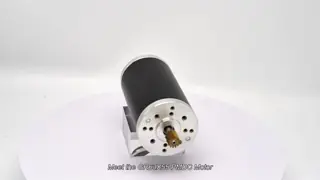 GR63X55 PMDC Motor