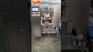 Rotary Bag Feeding Granule Packaging Machine