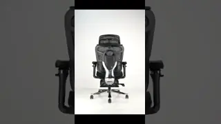 WS-100 Mid Trim ergonomic chair