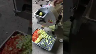 vegetable cutting machine for carrot