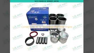 Dongfanghong Diesel Engine Cylinder Liner Kit
