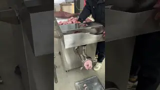 Commercial Multi-functional Meat Grinder