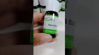 Citrus Mint Perfume Oil Long Lasting Freshness