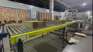 bottom printing die cutter slotter inline casemaker