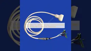 Toshiba PLT-704AT Ultrasound Probe Kit