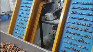 High Efficiency Walnut Kernel Sorter-Multi grades in one passing