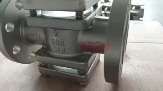 Valve Sight Glass 300LB RF Flange Connection with Flapper