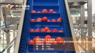 High-Efficiency Automated Weighing & Packaging System for Cherry Tomatoes & Small Fruits
