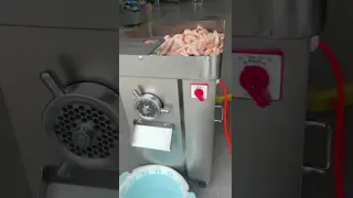 Industrial Seasoning And Meat Grinder