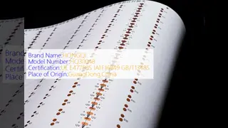 Flexible LED PCB Design FPC White Board 12V