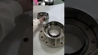 SCMS Reaction Kettle Mechanical Seal Cartridge Mixer Agitators Seals with Bearing