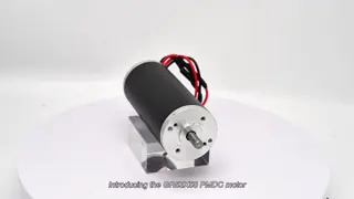 GR53X58 PMDC Motor