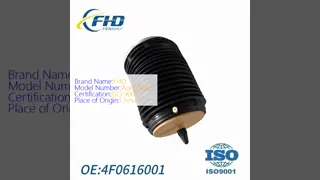 Audi A6 C6 Rear Air Spring Replacement Guide