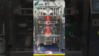 Fully Automatic Washing Powder Packaging Machine