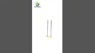 Bevel Gold-Based Micro-Needle with Groove