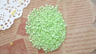 Crispy Panko Breadcrumbs Japanese Style