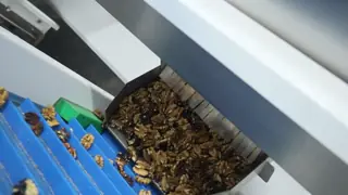 JGY Walnut Kernel Sorting Machine Multi-Grade with 1 passing ③