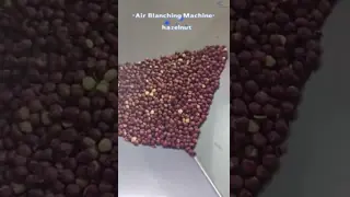 Hazelnut machine trial run video is here! The perfect choice for food processing plants. #machine