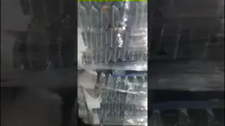 Durable 10 Gauge Galvanized Chain Link Fence Solutions