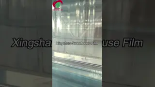 High-transparency PO greenhouse film production for vegetable cultivation