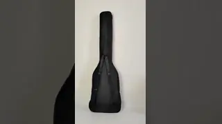 Best Bass Guitar Gig Bag Protective Travel Case