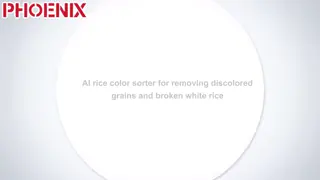 AI Rice Color Sorter