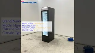 Commercial Vertical Freezer Slim Design for Ice Cream