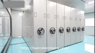 Hair Dye Shampoo OEM ODM  ISO GMP Certified Hair Dye Shampoo Manufacturer Supply