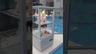 Professional Cake Showcase Display Case