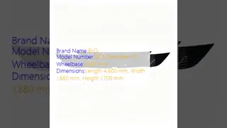 BYD Destroyer 05 Rear License Plate Panel OE Replacement
