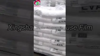 High-end EVA greenhouse film raw material unloading
