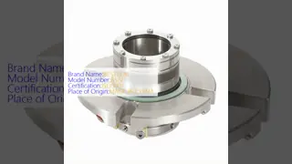 AES BSIV Cartridge Mechanical Seal High Performance Solution