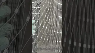 High Tensile AISI 316 Stainless Steel Wire Rope Mesh