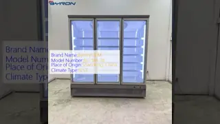 Commercial Vertical Freezer Display for Efficient Storage