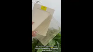 Real Scene Footage: Metal Mesh Inside Clear Laminated Glass