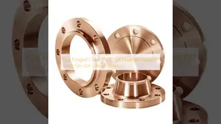 Hot Forged CuNi 70 30 Flange 20 Year Service Life